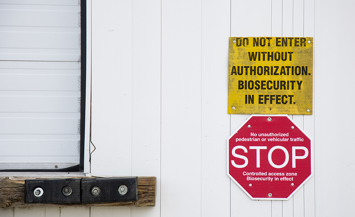 Boost Your Biosecurity for the Best Protection
