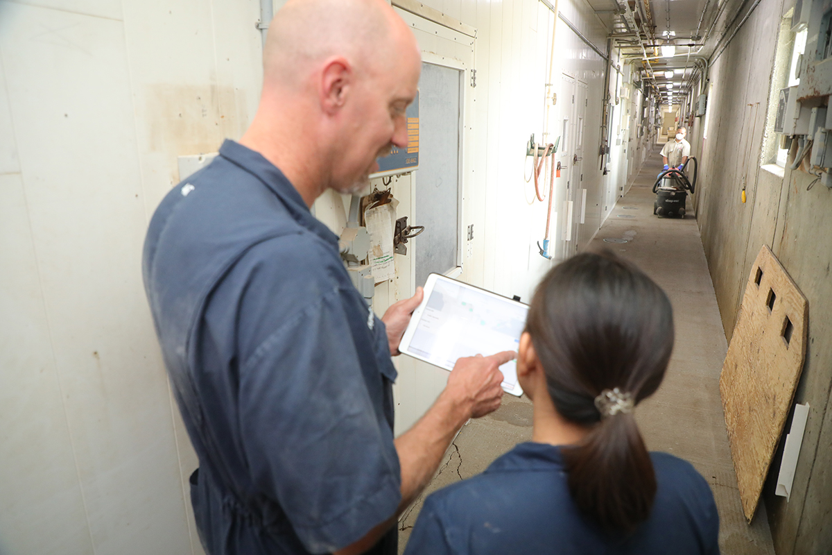 Technology reduces impact of labour shortages on biosecurity - Farm ...